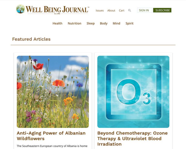 Well Being Journal - Good Creations